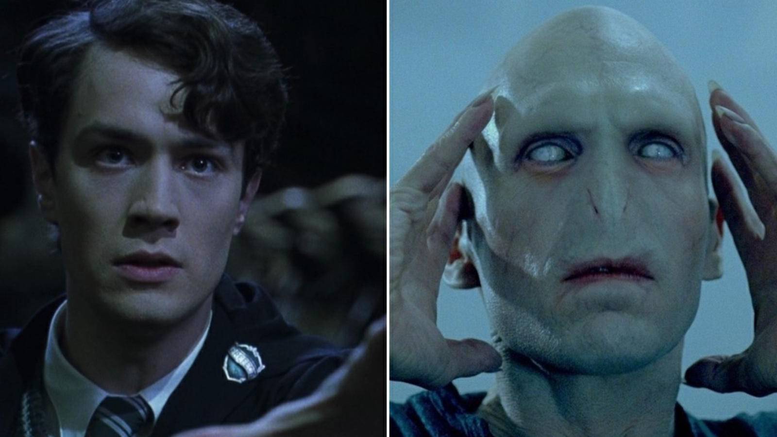 Harry Potter: 10 Things Only Book Fans Know About Lord Voldemort