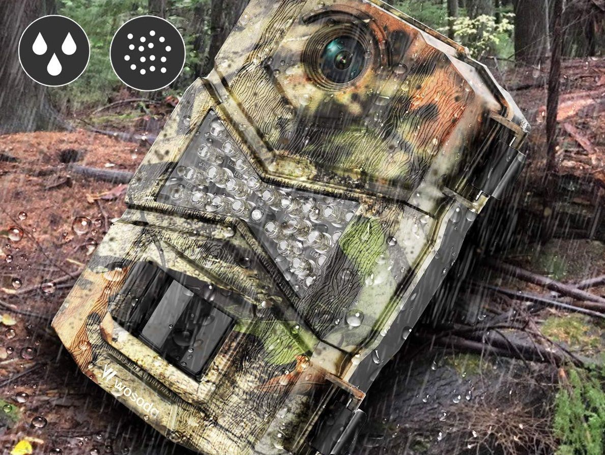 Best Trail Cameras (Updated 2020)