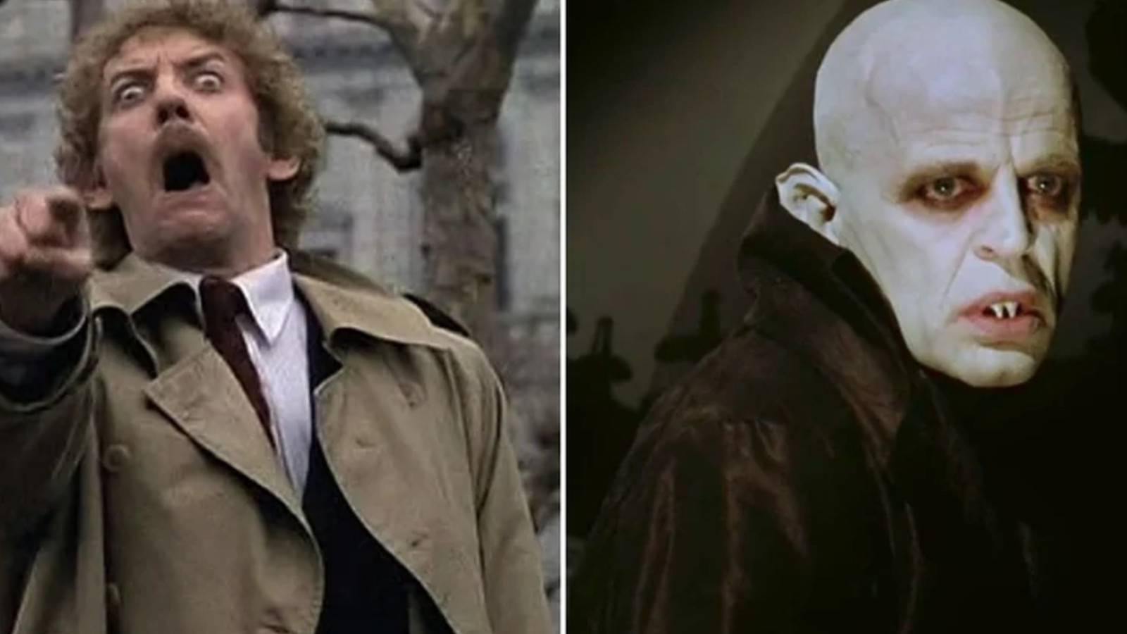 10 Forgotten '70s Horror Films That Were Excellent