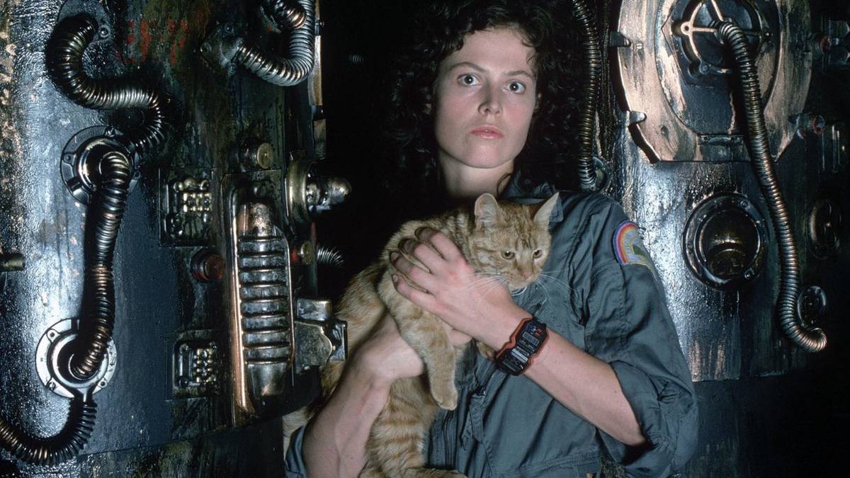 Alien: Jones The Cat’s Importance & Meaning Explained