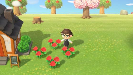 How To Get Blue Roses In in Animal Crossing: New Horizons
