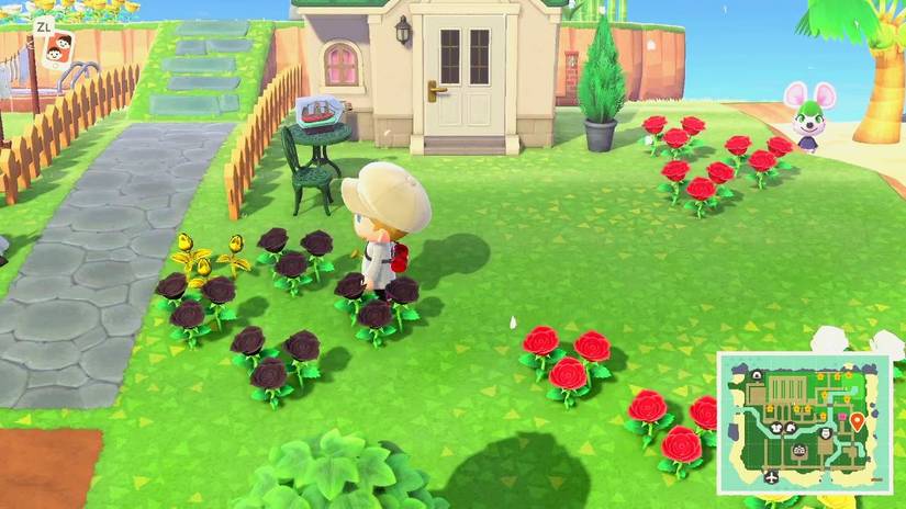 Gold Roses in Animal Crossing: How To Grow & Use