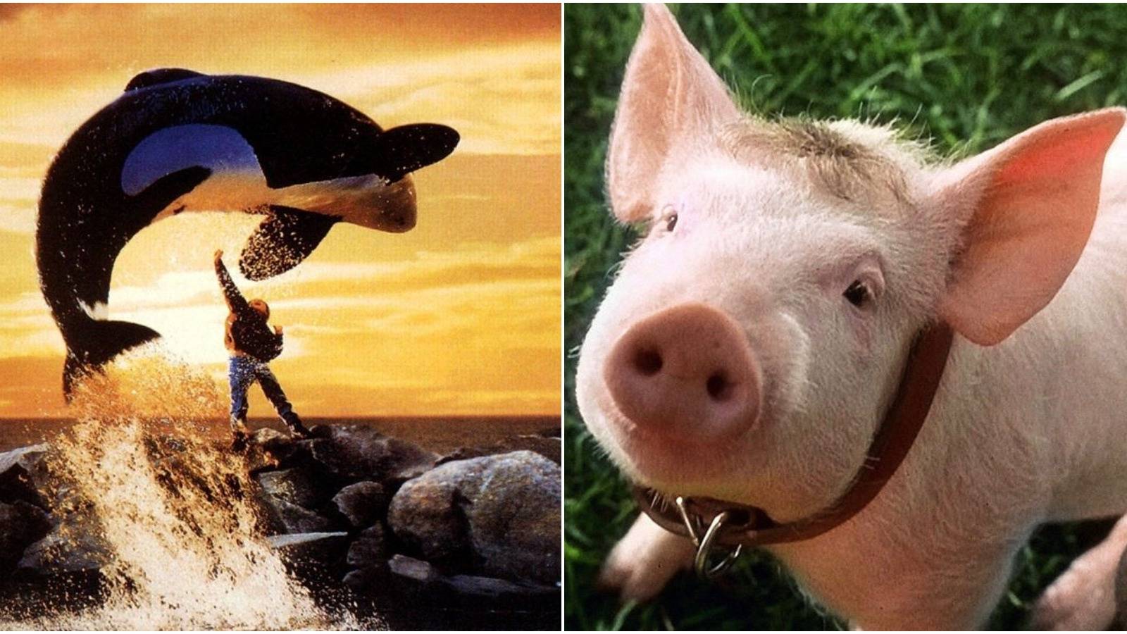 10 Most Iconic Pets In Movie History, Ranked