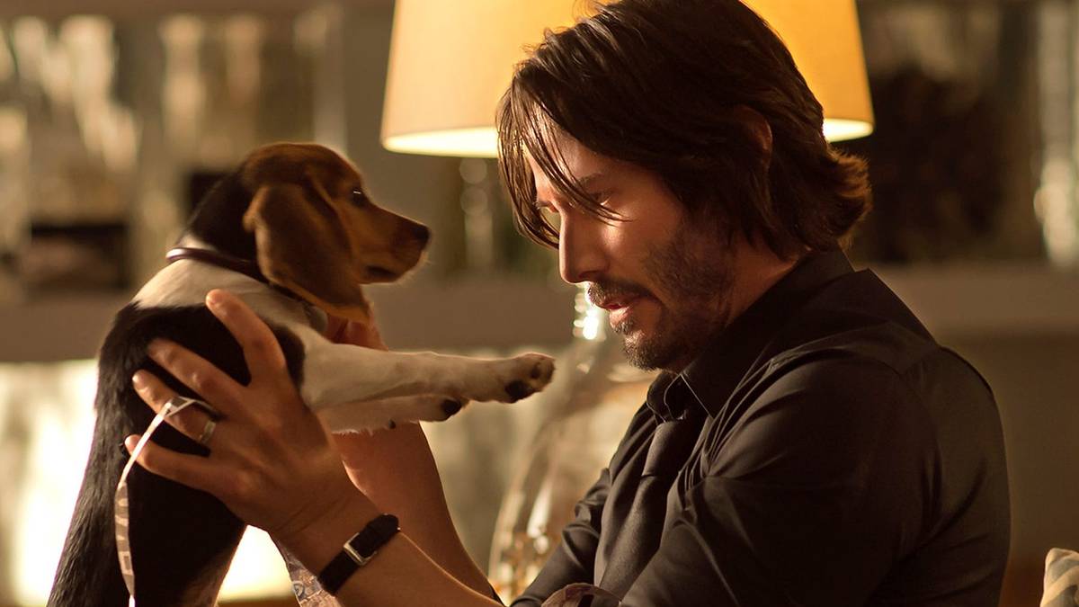 Keanu Reeves Puppy Video Will Remind You Why John Wick Was So Mad