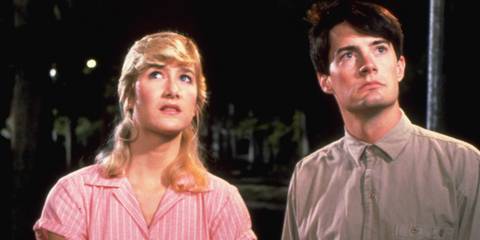 Blue Velvet Summary, Trailer, Cast, Where to Watch and More