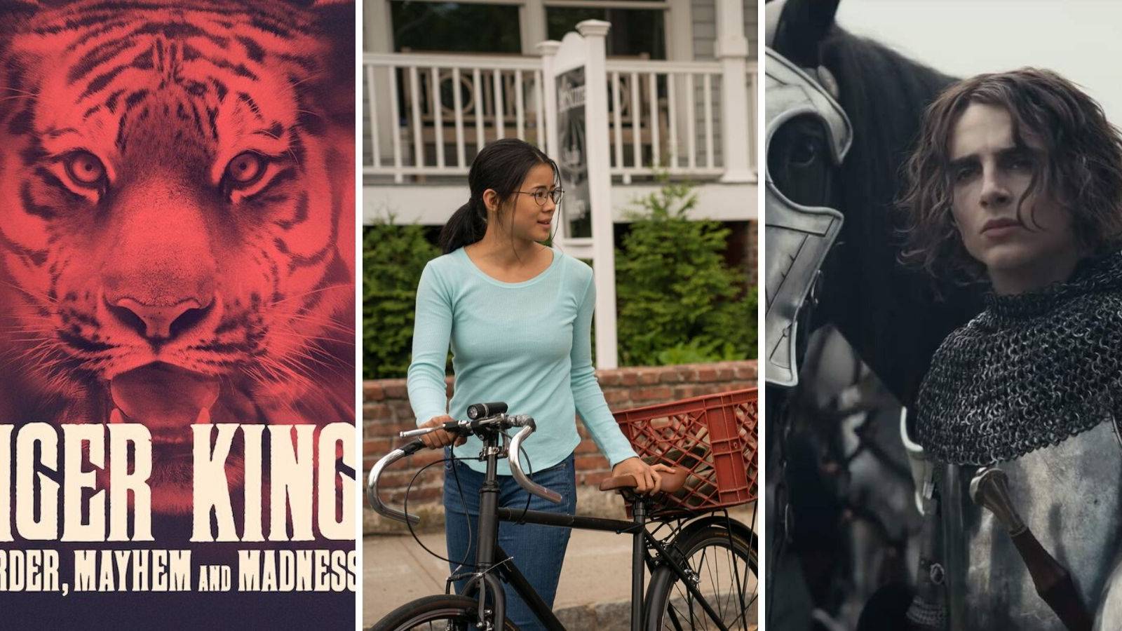 5 Netflix Originals Cancer Will Love (& 5 They Will Hate)