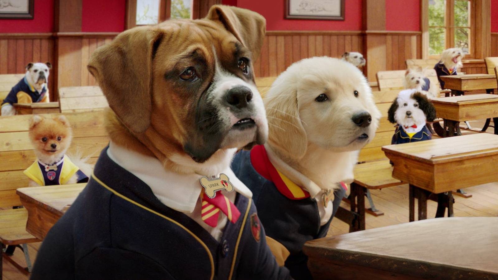 Pup Academy: What To Expect From Season 2
