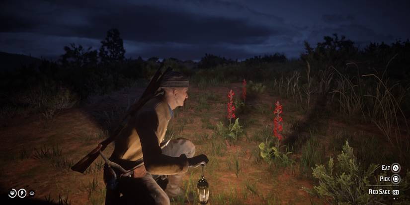 Red Dead Redemption 2: How to Find Red Sage