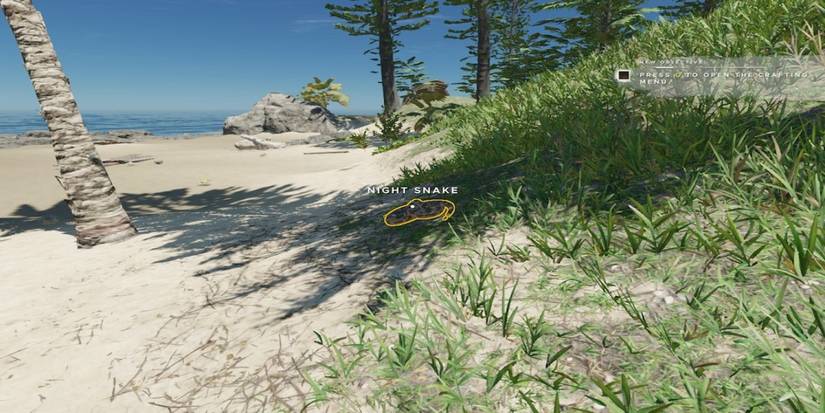 Stranded Deep: A Guide to Dangerous Creatures