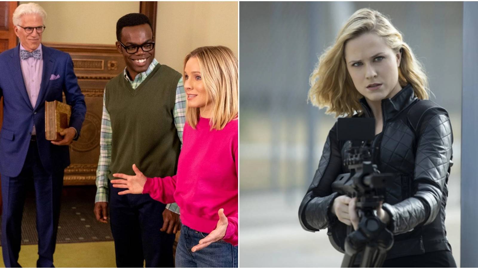 MBTI®: 5 Genre Shows That INTJs Will Love (& 5 They Will Hate)