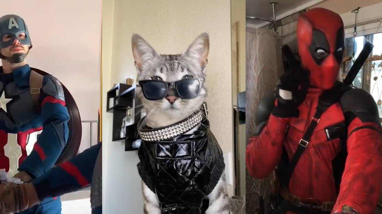 Wipe It Down: Best & Most Creative TikTok Videos & Transformations