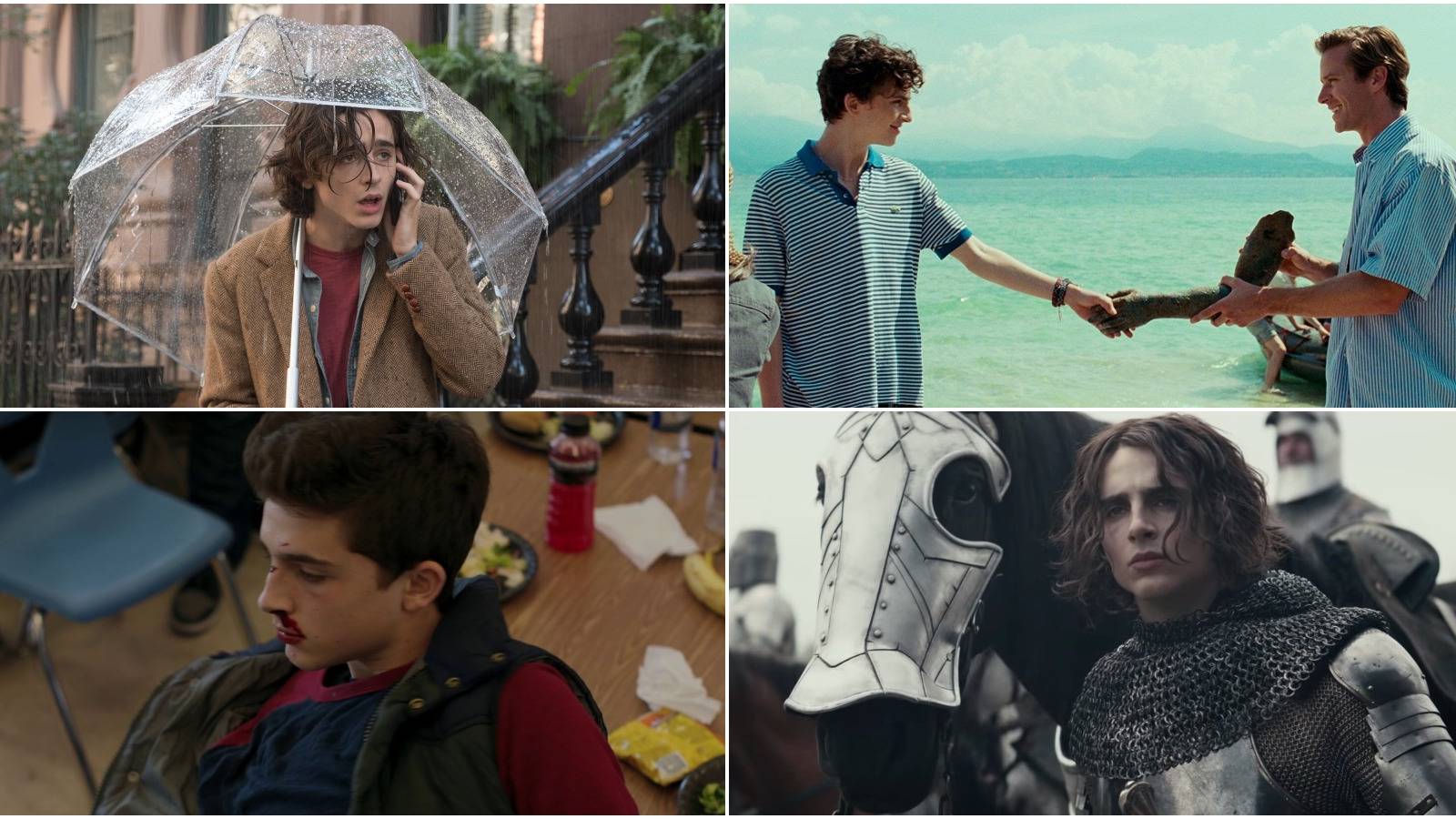 Timothée Chalamet’s 15 Best Movies (According to IMDb)