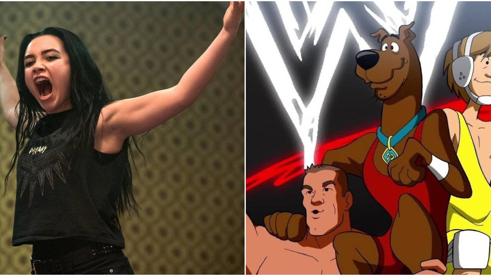 The 10 Best WWE Studios Movies, According To IMDb