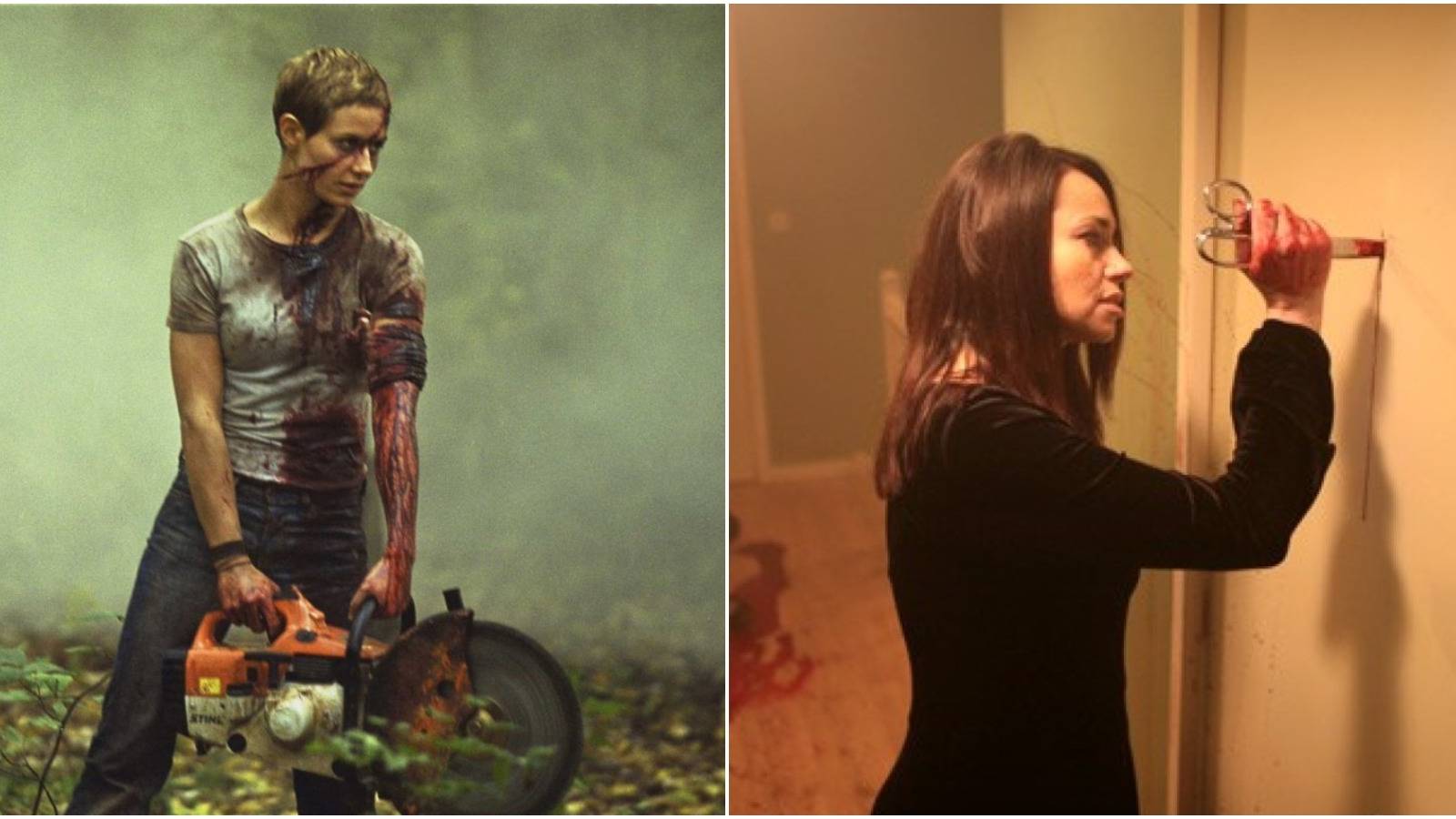 10 Best New French Extremity Films For The Curious (Ranked by IMDb)