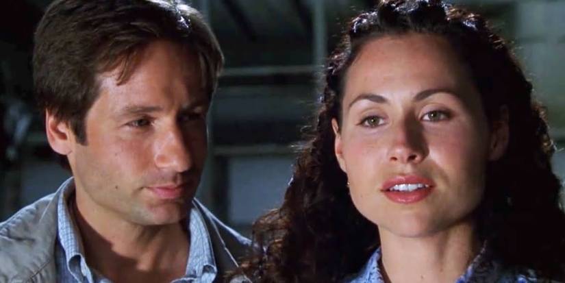 10 Best David Duchovny Movies & Shows, Ranked According To IMBd
