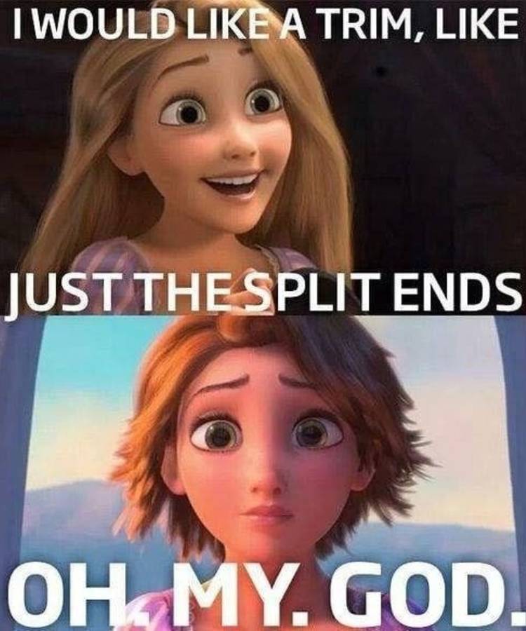 Disney's Tangled: 10 Memes That Will Leave Any Disney Fan Cry-Laughing