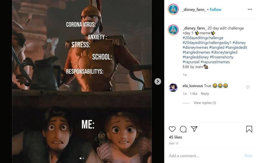 Disney's Tangled: 10 Memes That Will Leave Any Disney Fan Cry-Laughing
