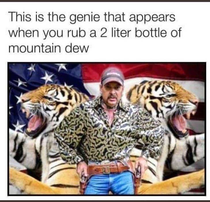 Tiger King: 11 Joe Exotic Memes That Will Have You Cry-Laughing