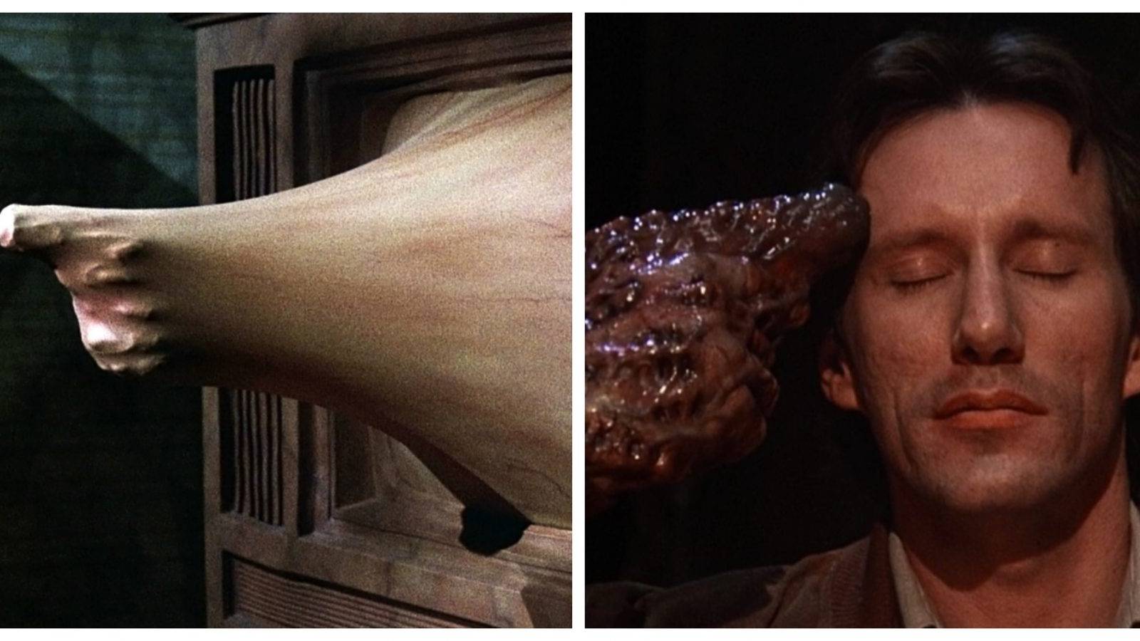 Long Live The New Flesh 10 Interesting Facts About Videodrome