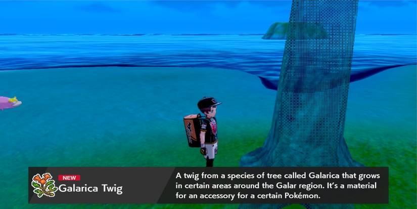 Pokémon Sword & Shield: Where to Find Galarica Twigs