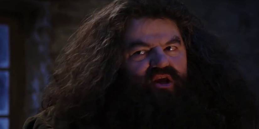 Harry Potter: Hagrid's 10 Best Quotes, Ranked