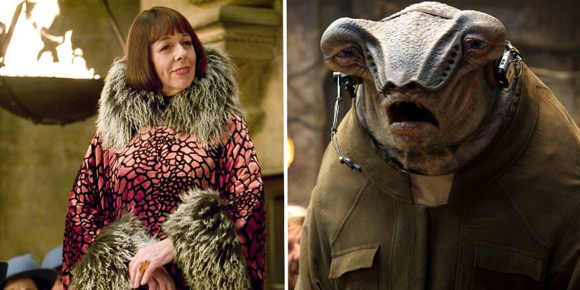 Every Harry Potter Actor In Star Wars