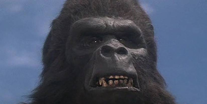 How Tall Kong Is In Each Movie (Including MonsterVerse)