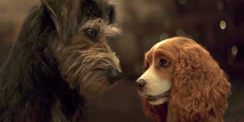 Every Live-Action Disney Remake, Ranked From Worst To Best