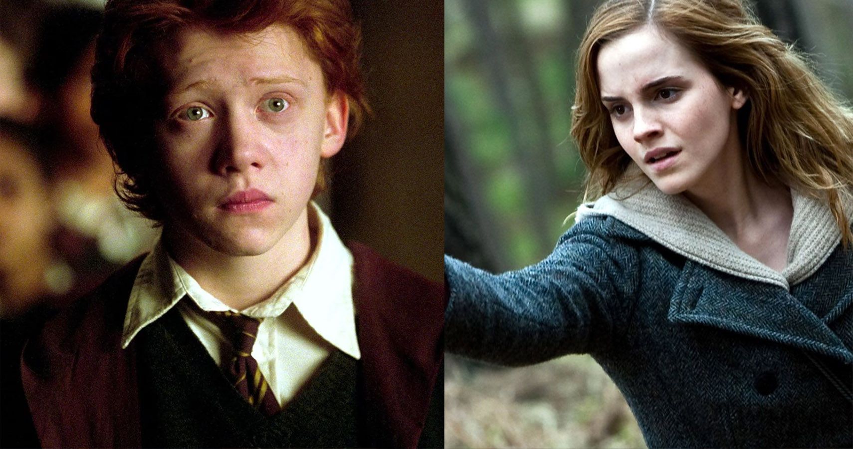 Harry Potter: 10 Things That Make No Sense About Ron & Hermione's ...