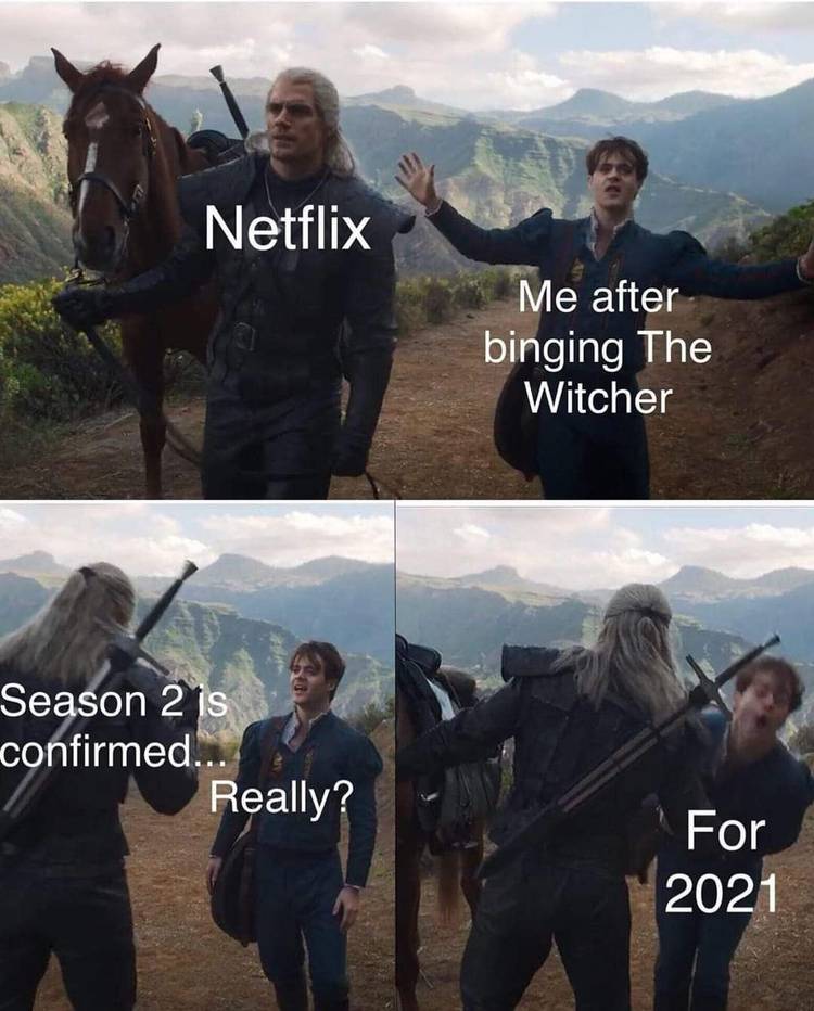 The Witcher: 10 Memes From The Series That Will Bust Your Gut