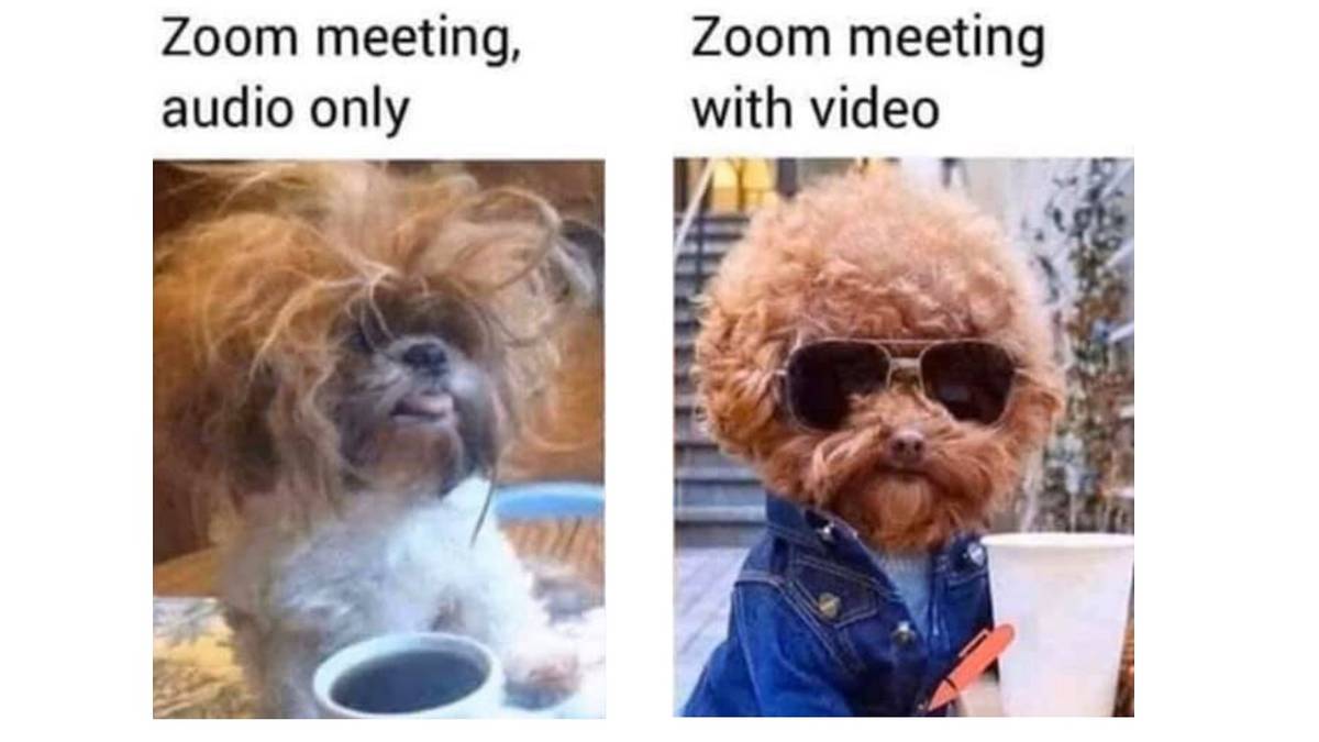 Best Work From Home Memes To Share With Friends & Co-Workers