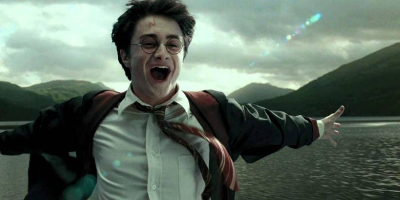 Harry Potter: 10 Things You Didn’t Know About Buckbeak