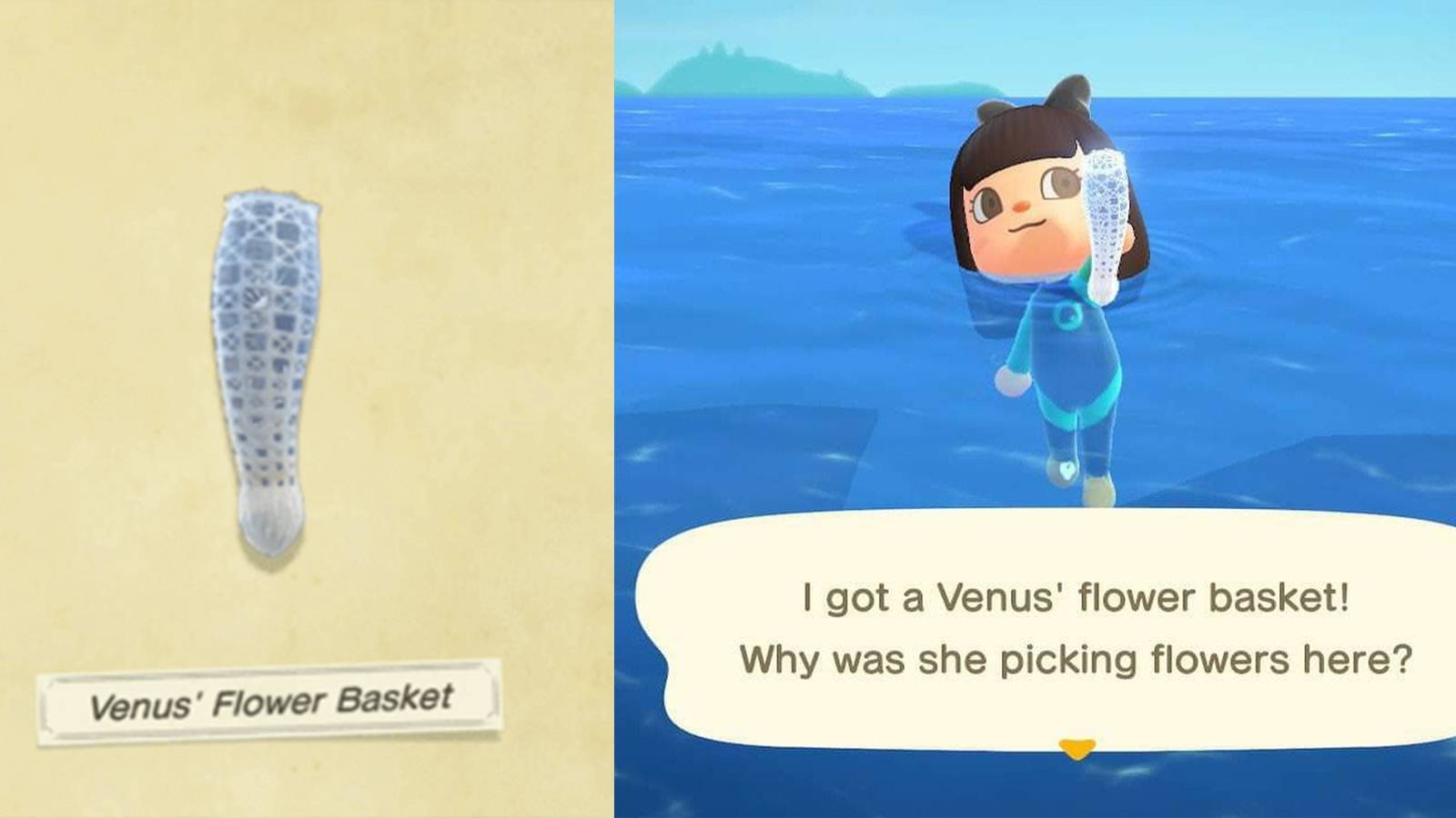 How to Find (& Catch) The Venus' Flower Basket in Animal Crossing