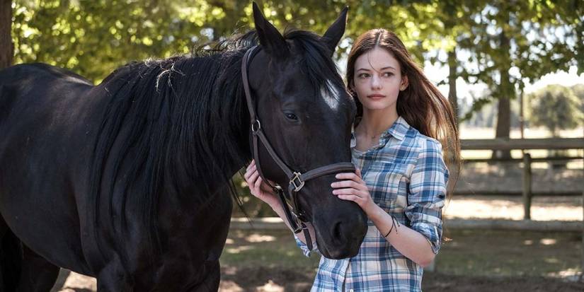 Disney+'s Black Beauty Cast Guide: Where You Know The Actors From