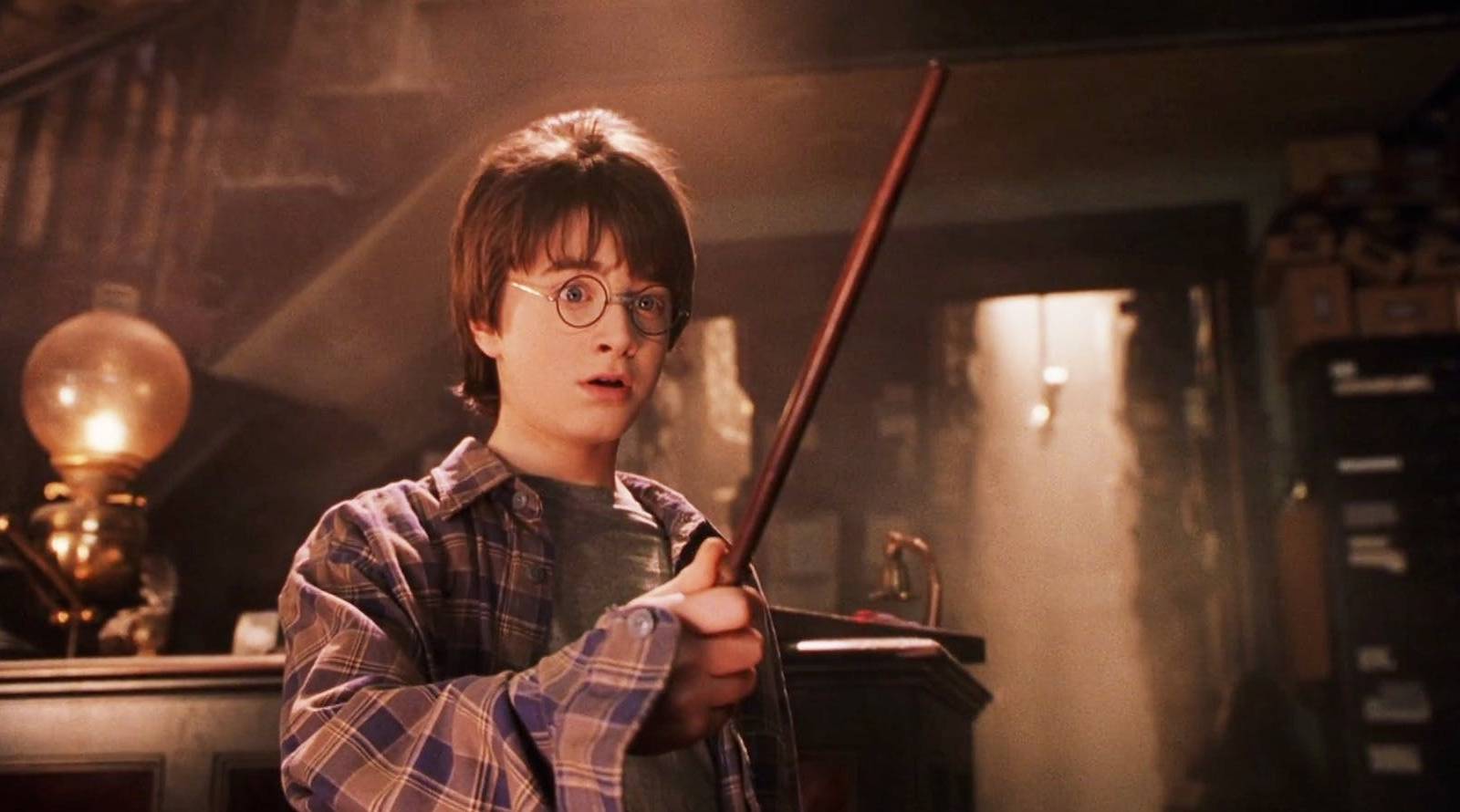 Harry Potter Wandlore: 10 Things You Didn't Know About Dragon ...
