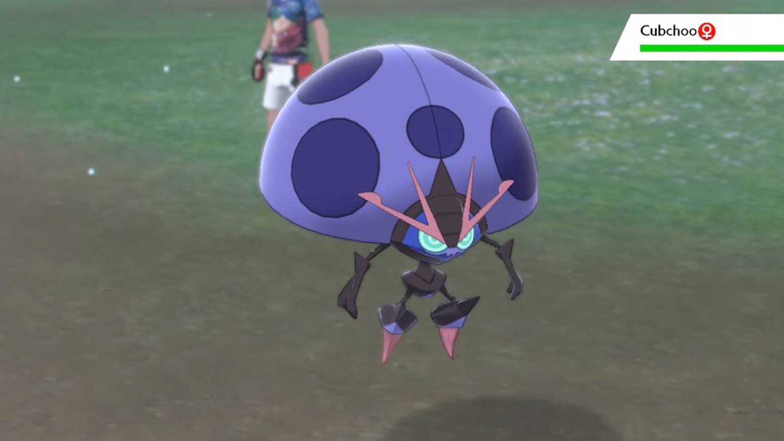 How to Find (& Catch) Shiny Orbeetle in Pokémon Sword & Shield