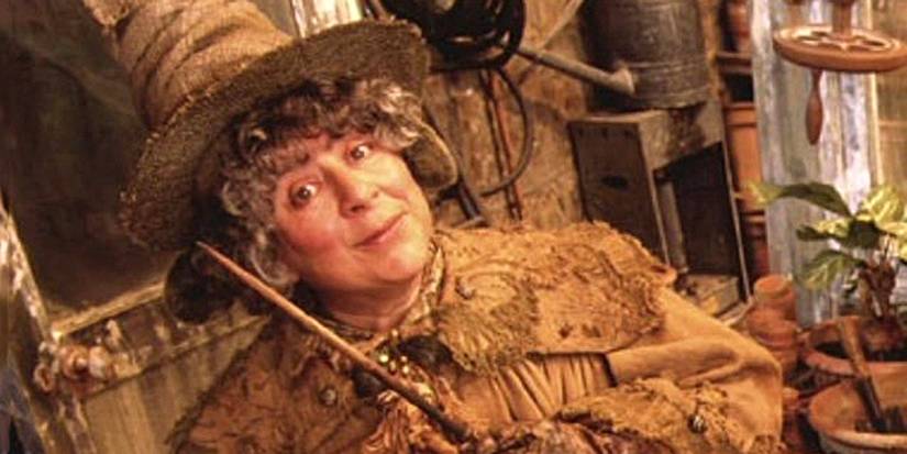 “Such A Shame”: Harry Potter Actors Respond To Miriam Margolyes ...