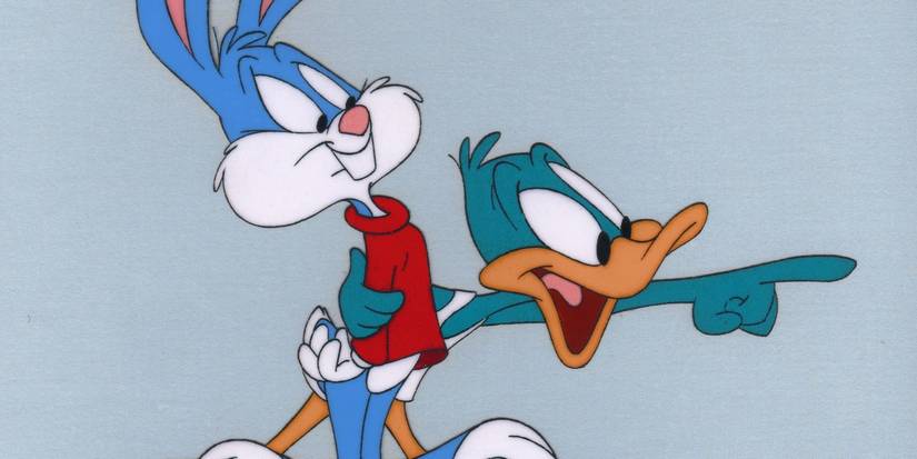 Top 10 Tiny Toon Adventures Episodes, Ranked (According to IMDb)