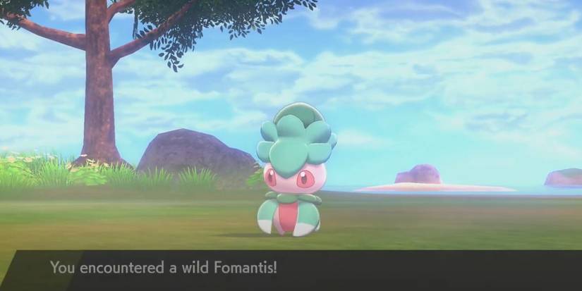 Pokémon Sword Shield Fomantis Find Catch
