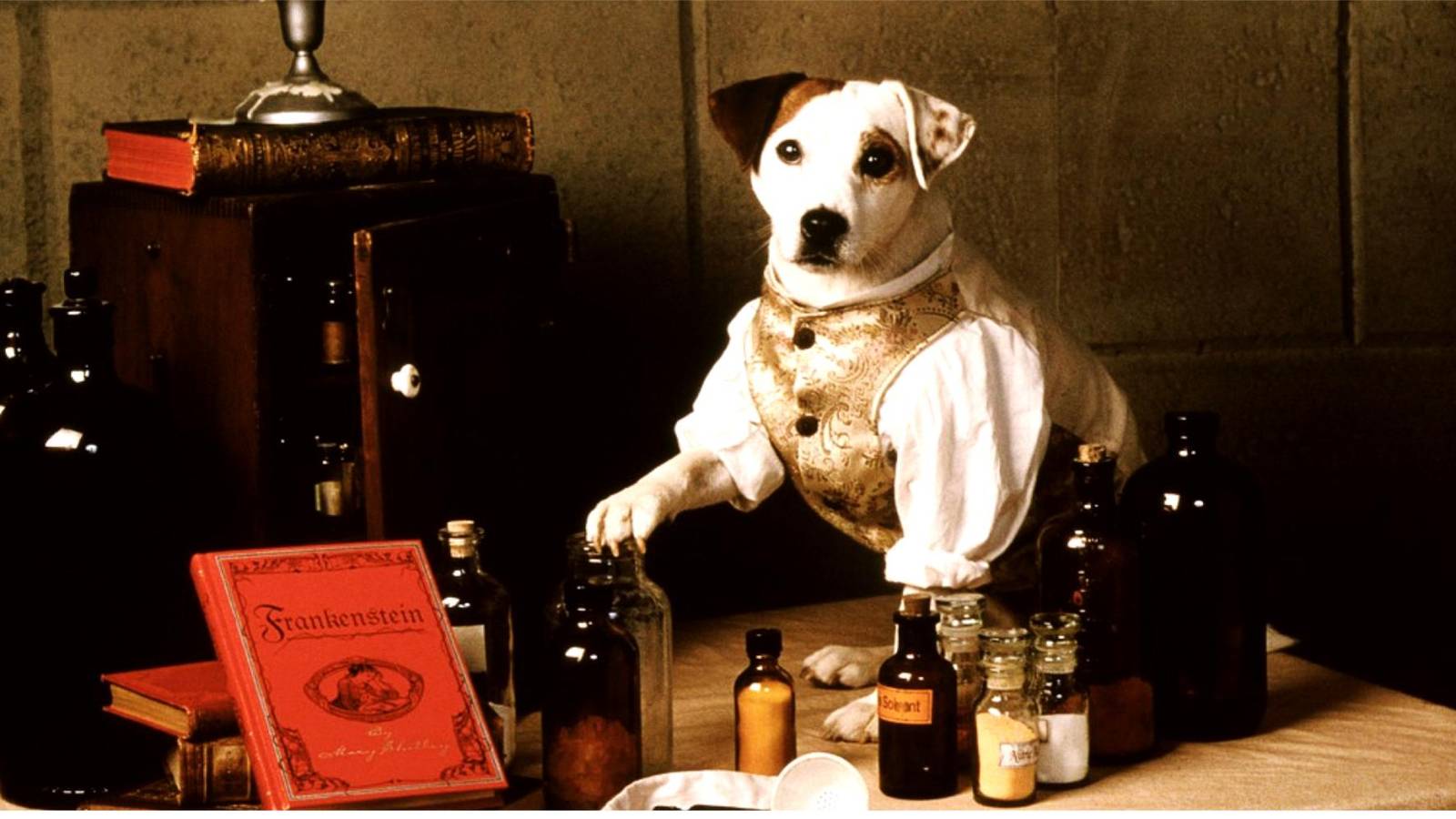 Wishbone Movie In The Works Based On Beloved 90s TV Show