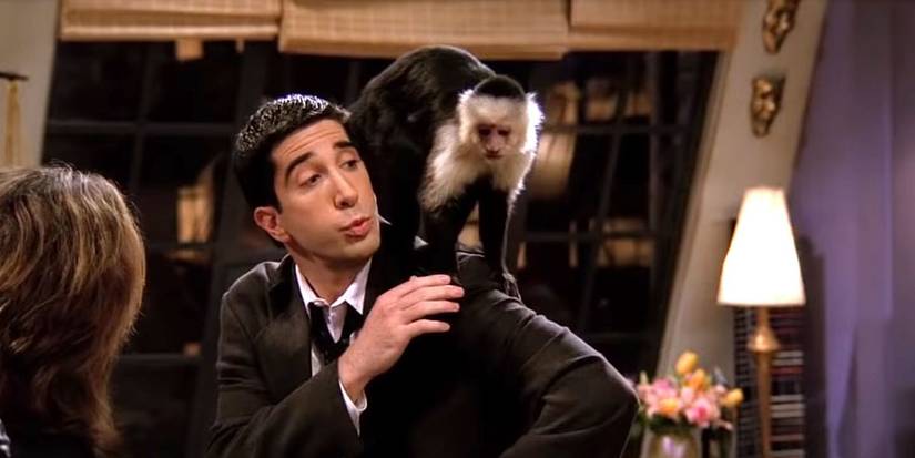 Friends Reunion Reveals Why David Schwimmer Hated Ross' Monkey Marcel