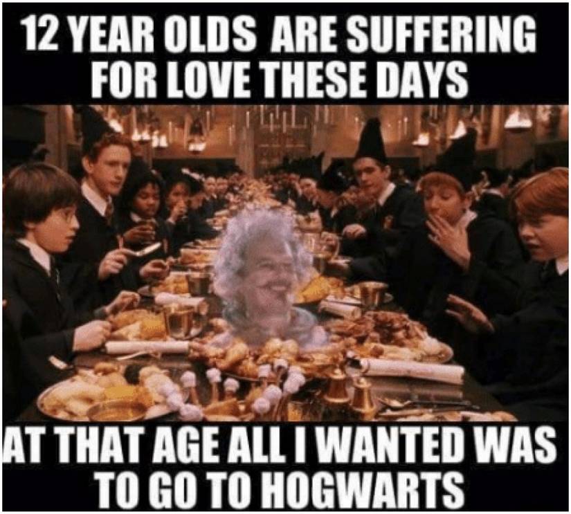 Harry Potter: 10 Hogwarts Memes Devoted Fans Will Love