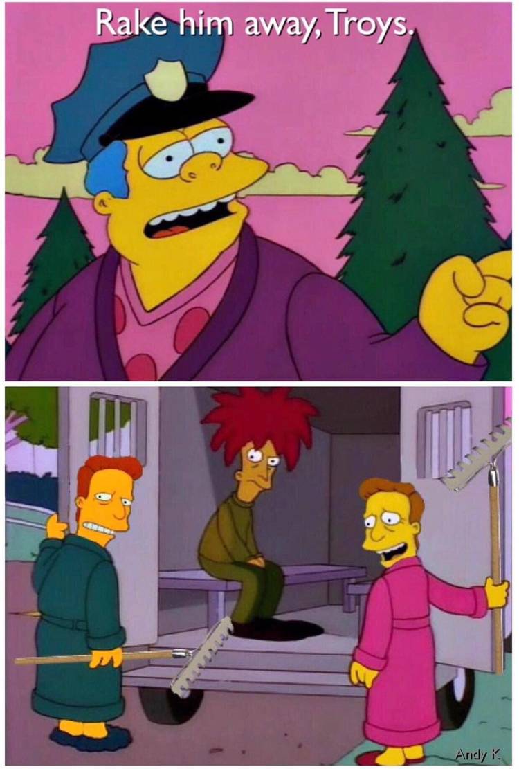 The Simpsons: 10 Funny "Sideshow Bob Rakes" Memes That Make Us Laugh