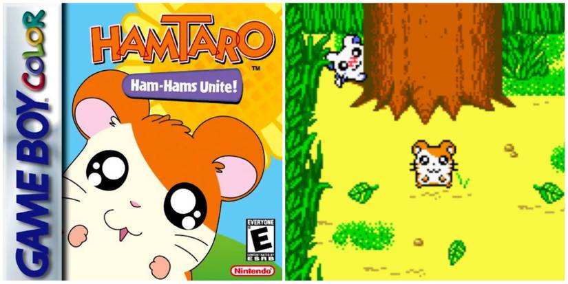 Game Boy Color Hidden Gems That Were Ahead Of Their Time