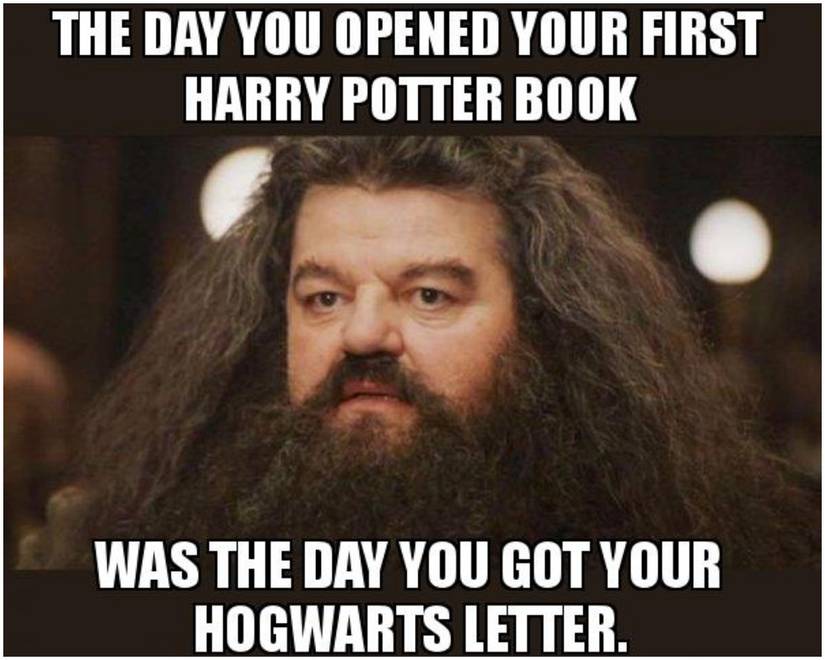 Harry Potter: 10 Hogwarts Memes Devoted Fans Will Love