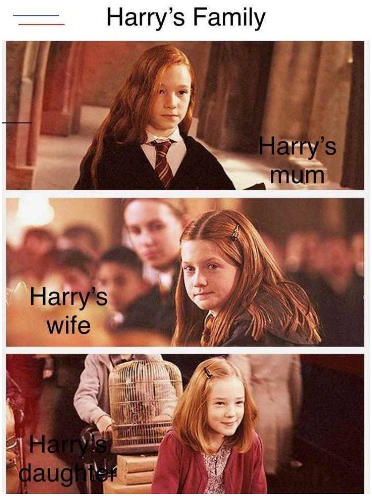 Harry Potter: 10 Memes That Prove Ginny Was Right For Harry