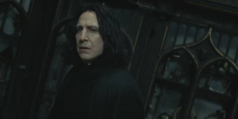 Harry Potter: The Professors, Ranked By Likability