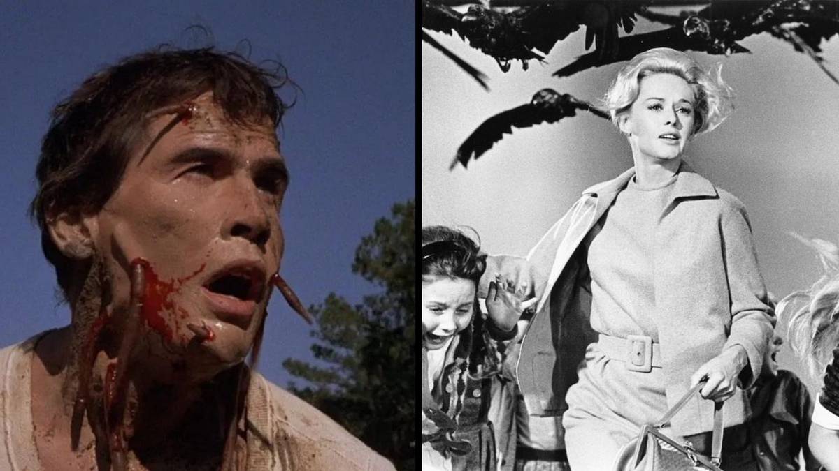 Squirm: Killer Worms Weren't The Movie's Biggest Influence (& What Was)