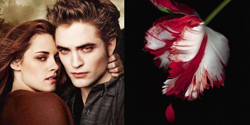 Twilight: What Every Book Cover Really Means (Including Midnight Sun)