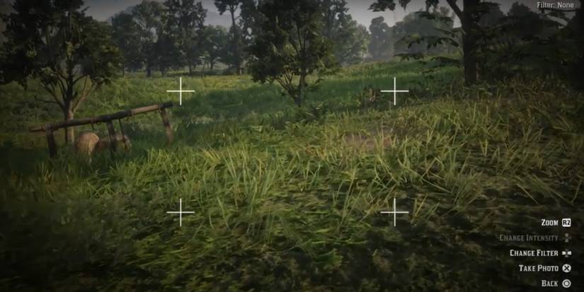 How to Get the Advanced Camera in Red Dead Online